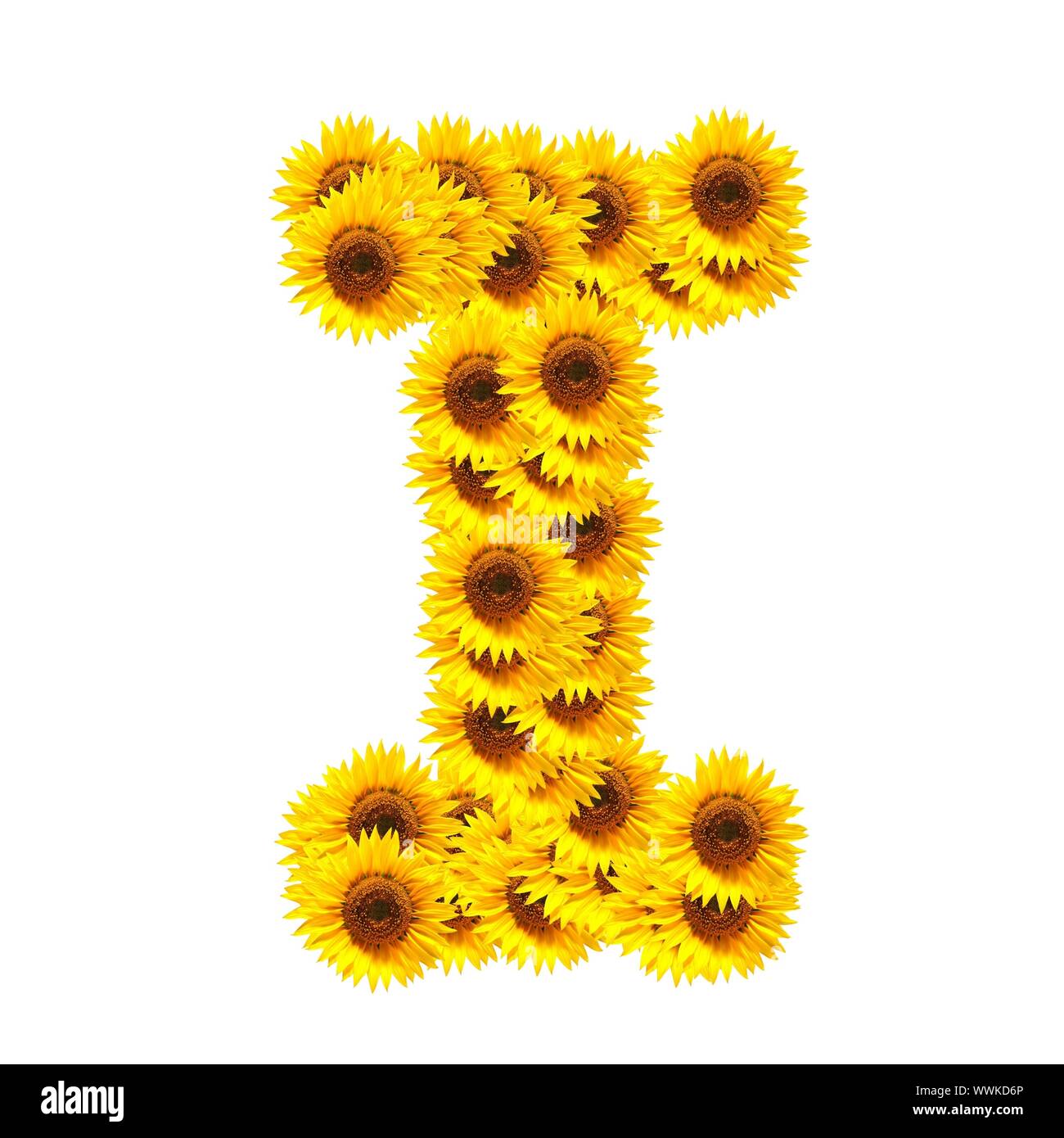 flower alphabet and numbers with sunflowers isolated on white ...