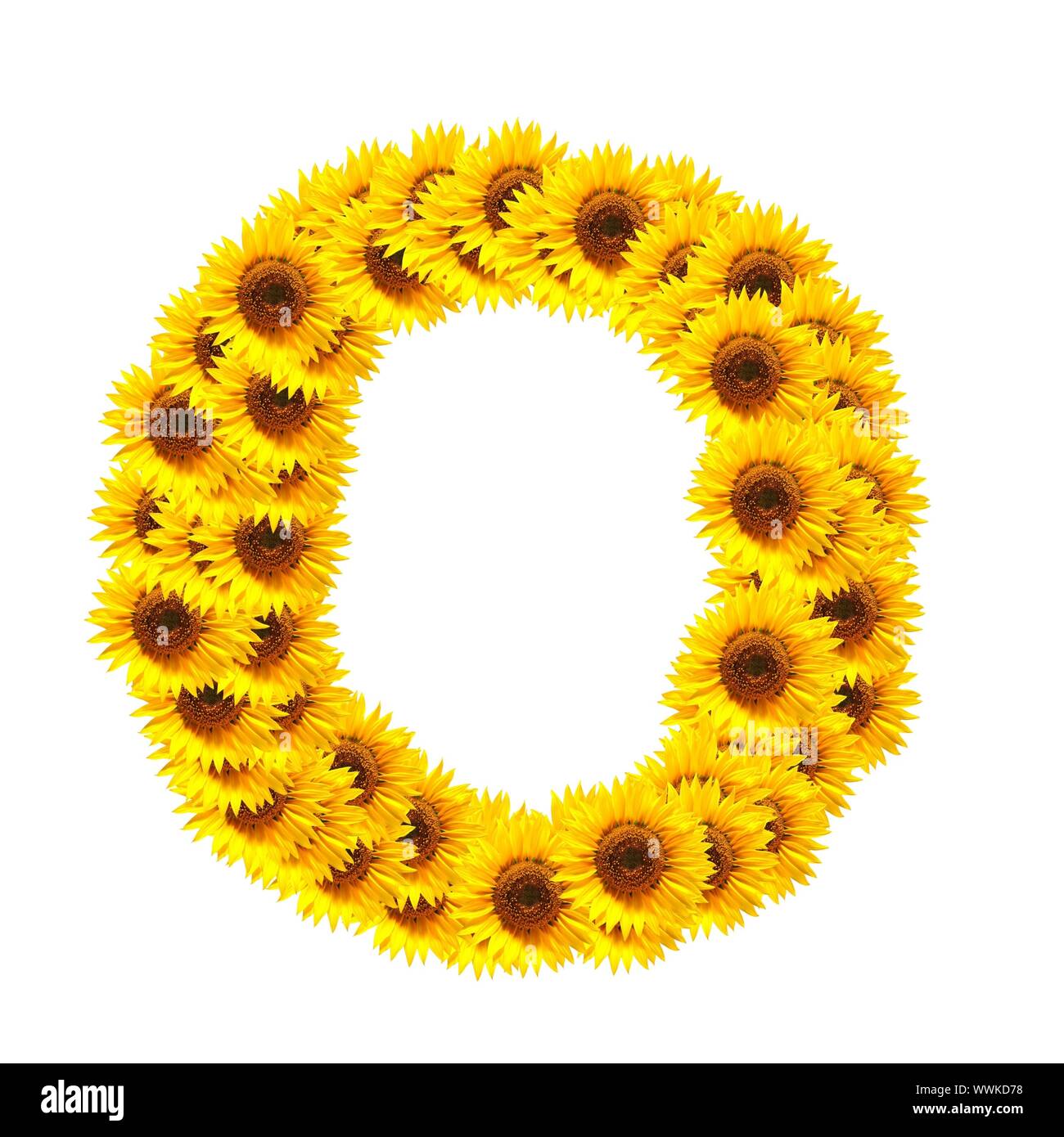 flower alphabet and numbers with sunflowers isolated on white ...