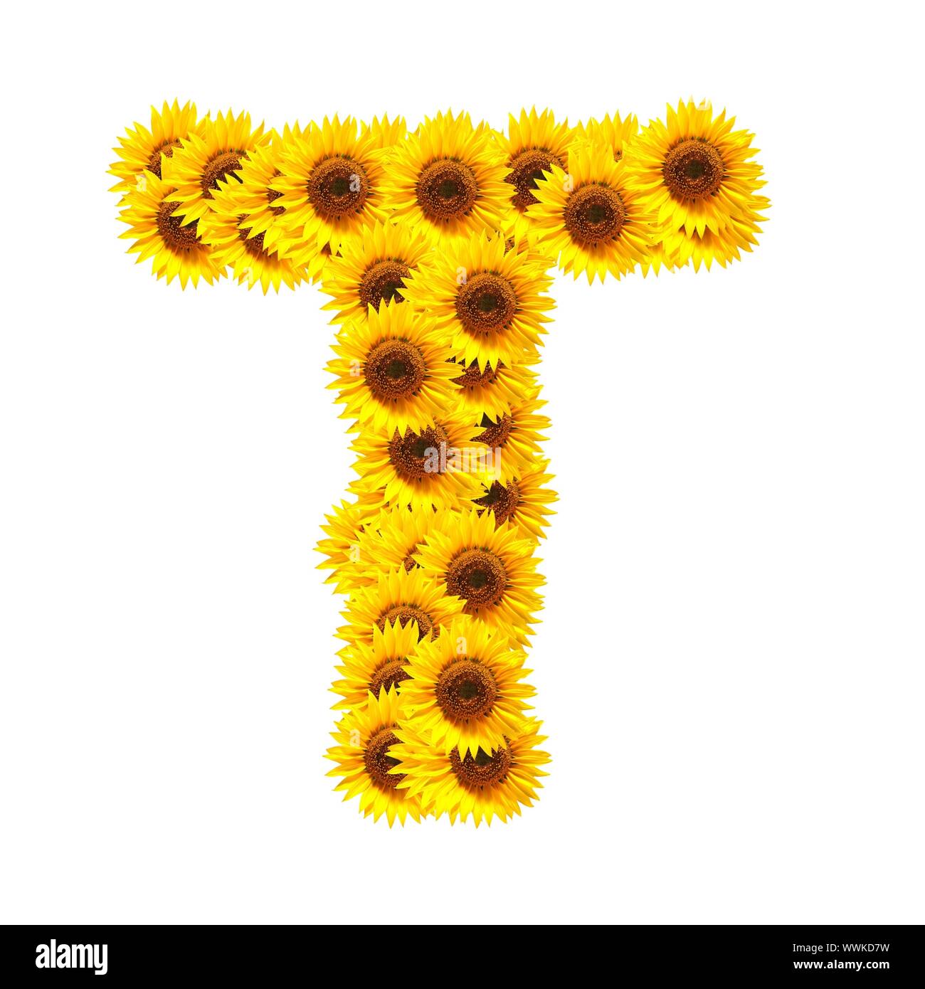 flower alphabet and numbers with sunflowers isolated on white ...