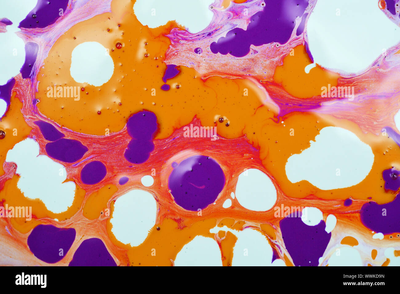 Orange, lilac and white colors as background. Abstract color liquid ...