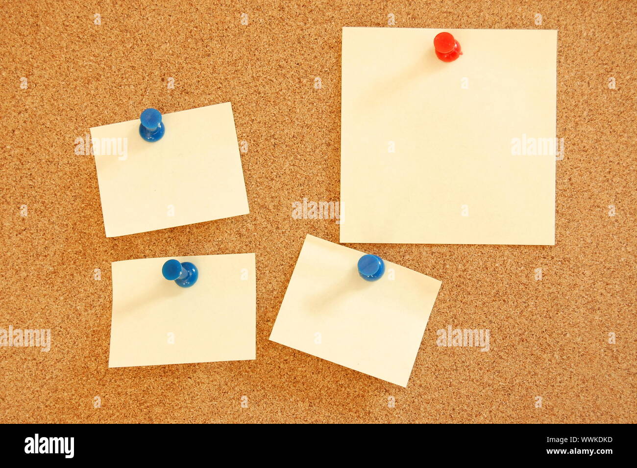 blank and empty sheet paper with copyspace on bulletin board in office ...
