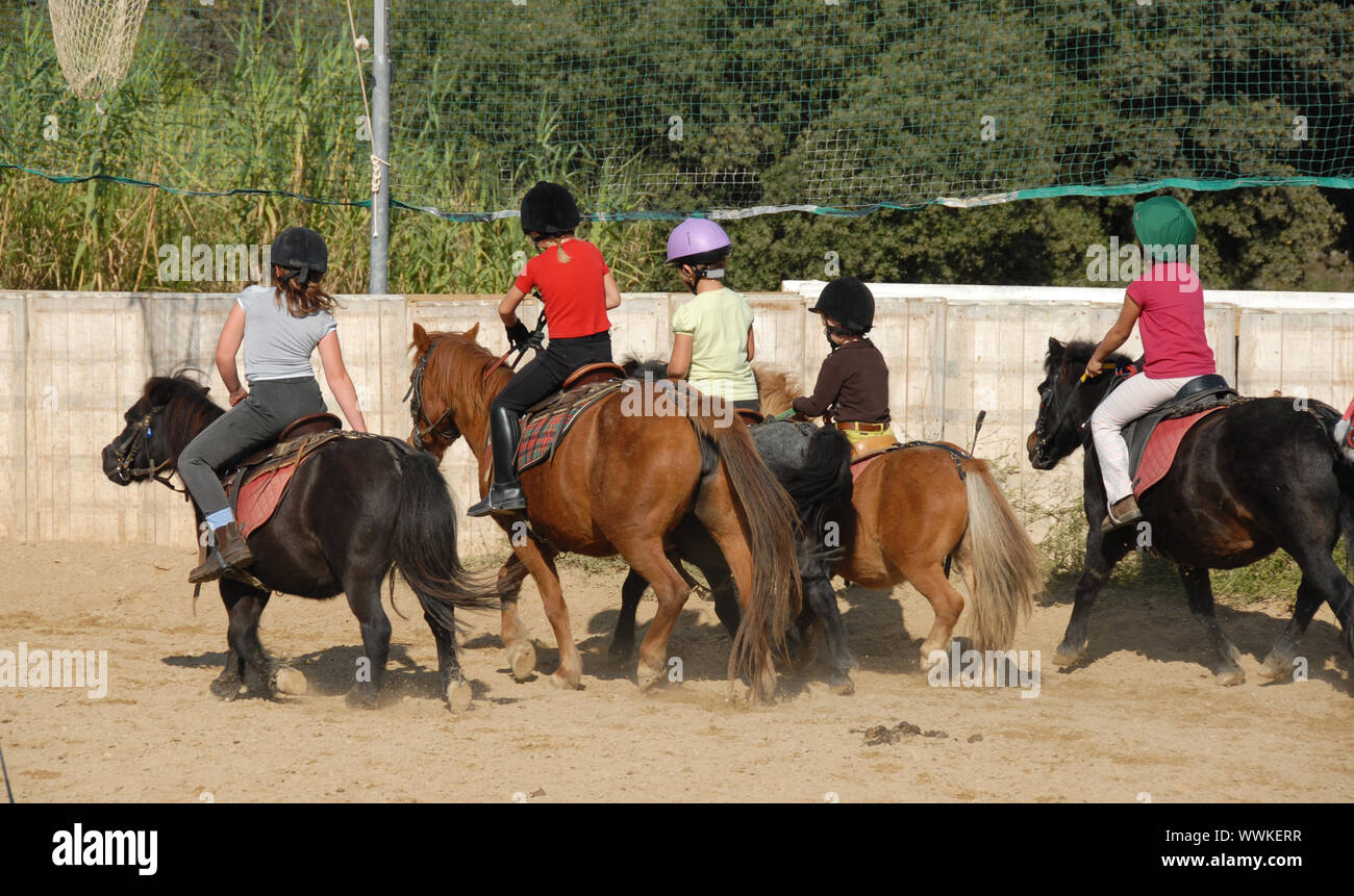 group of children horseback riding on their shetland ponies Stock Photo ...