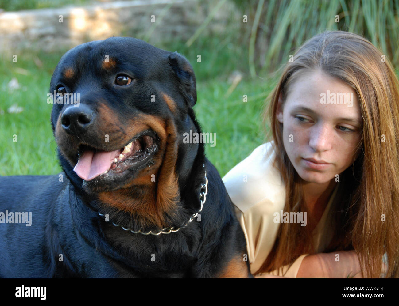 young woman and her best friend purebred rottweiler Stock Photo - Alamy