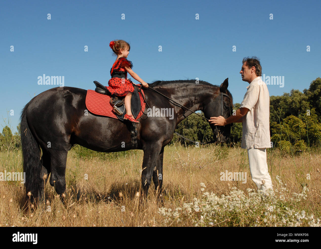 a father learning to his daughter to riding on a horse Stock Photo - Alamy
