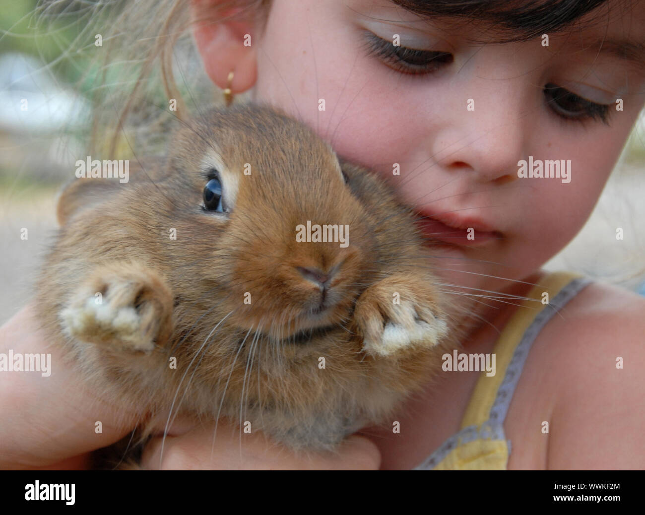 young little girl and her friend baby bunny Stock Photo - Alamy