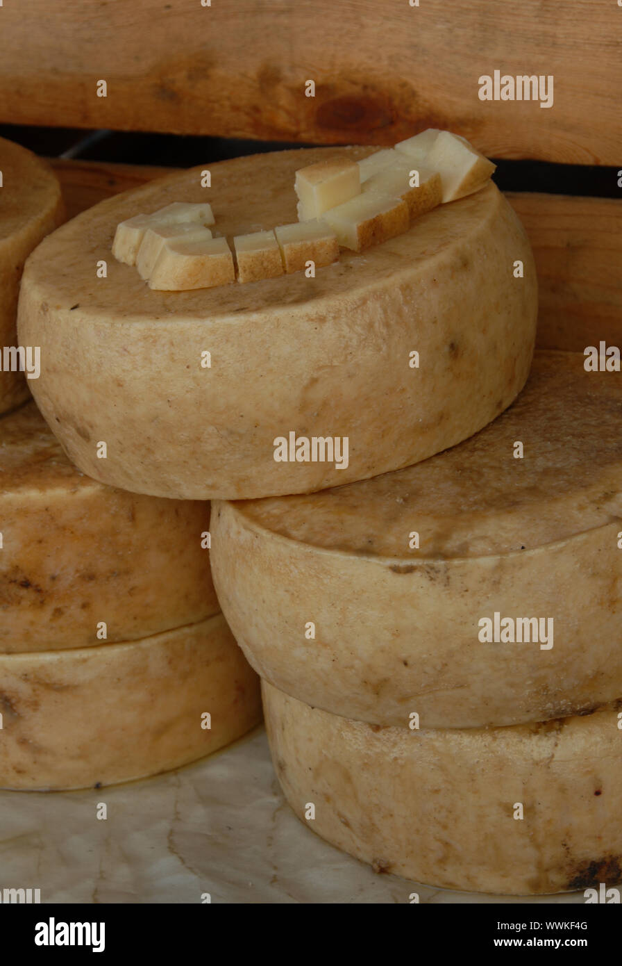 craft ewe's cheeses in a market in corsica Stock Photo - Alamy
