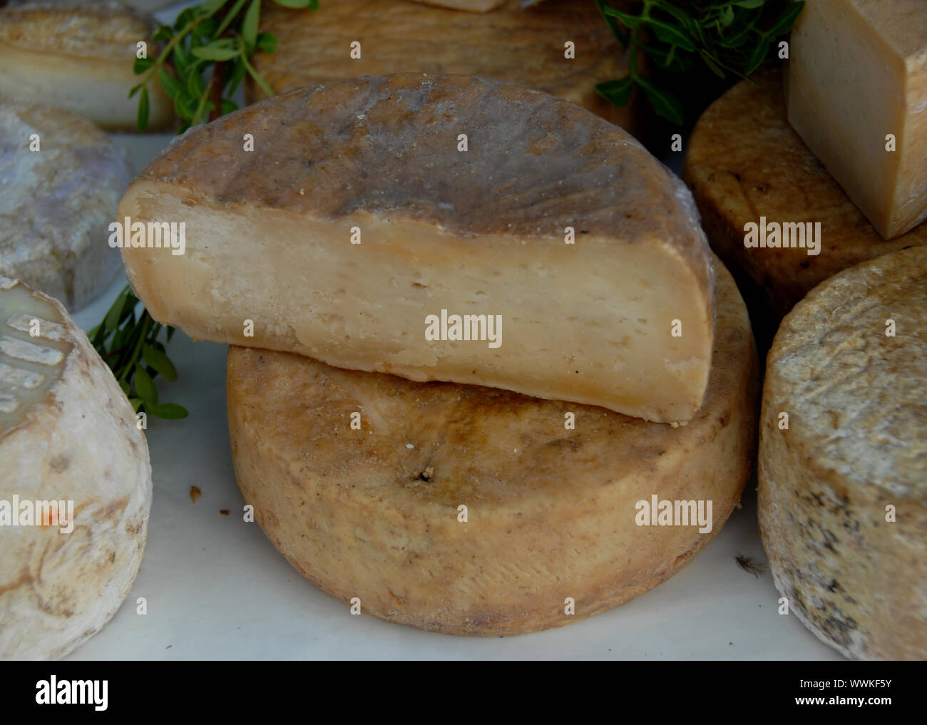 craft ewe's cheeses in a market in corsica Stock Photo - Alamy