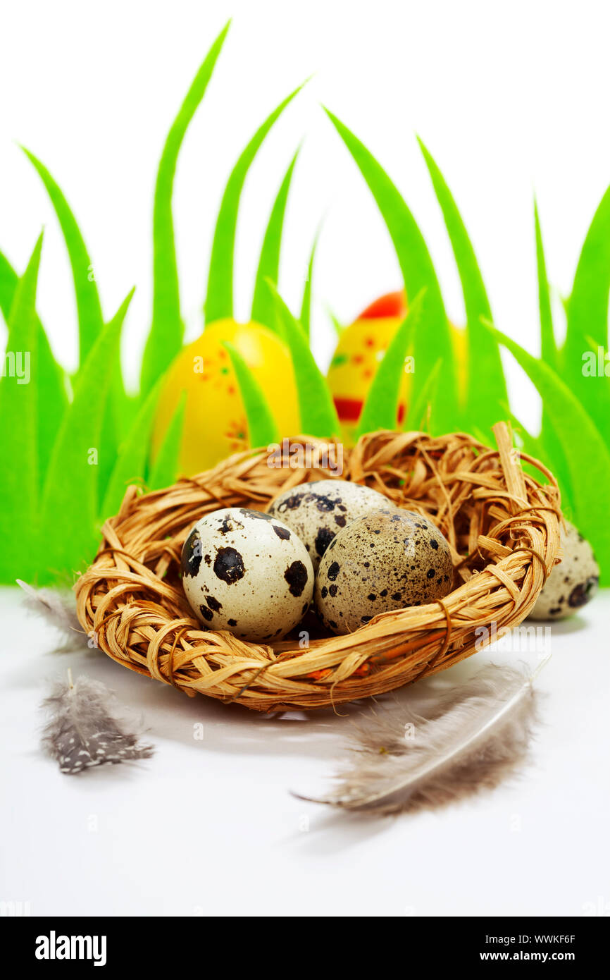 Easter eggs and Green Grass Stock Photo - Alamy
