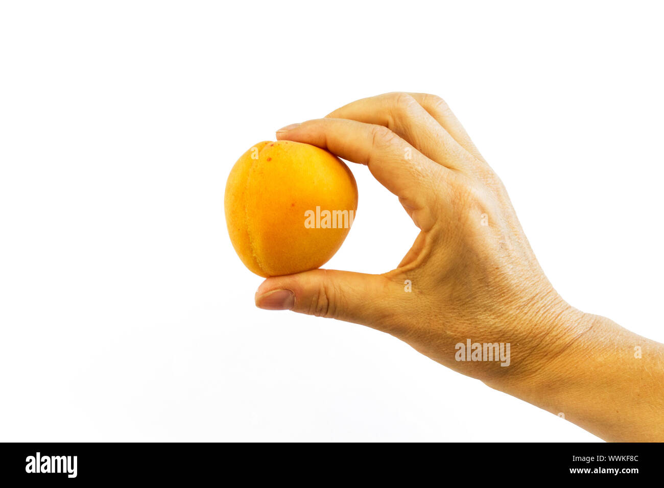 Hand holding apricots Stock Photo - Alamy
