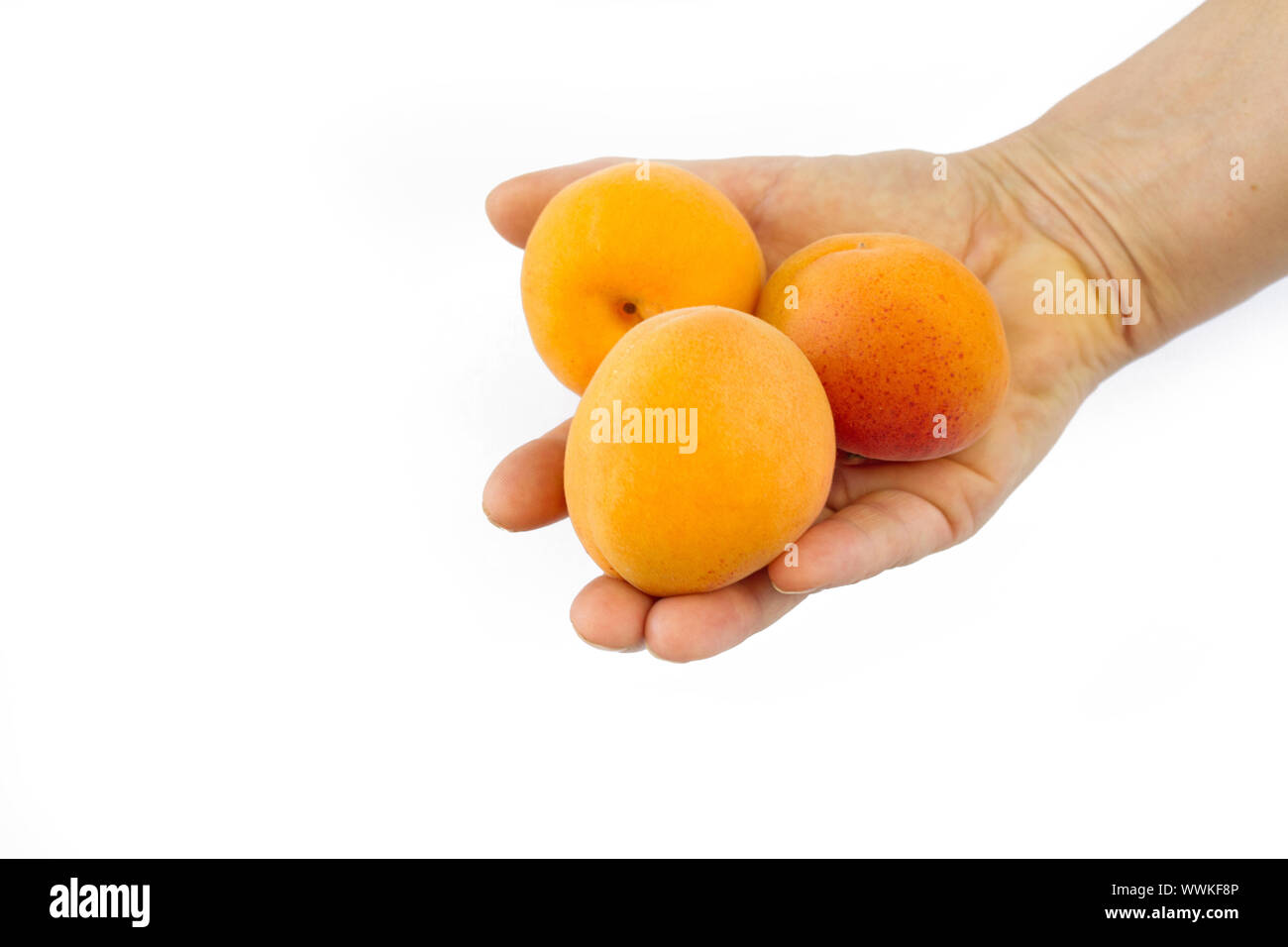 Hand holding apricots on white background Stock Photo - Alamy
