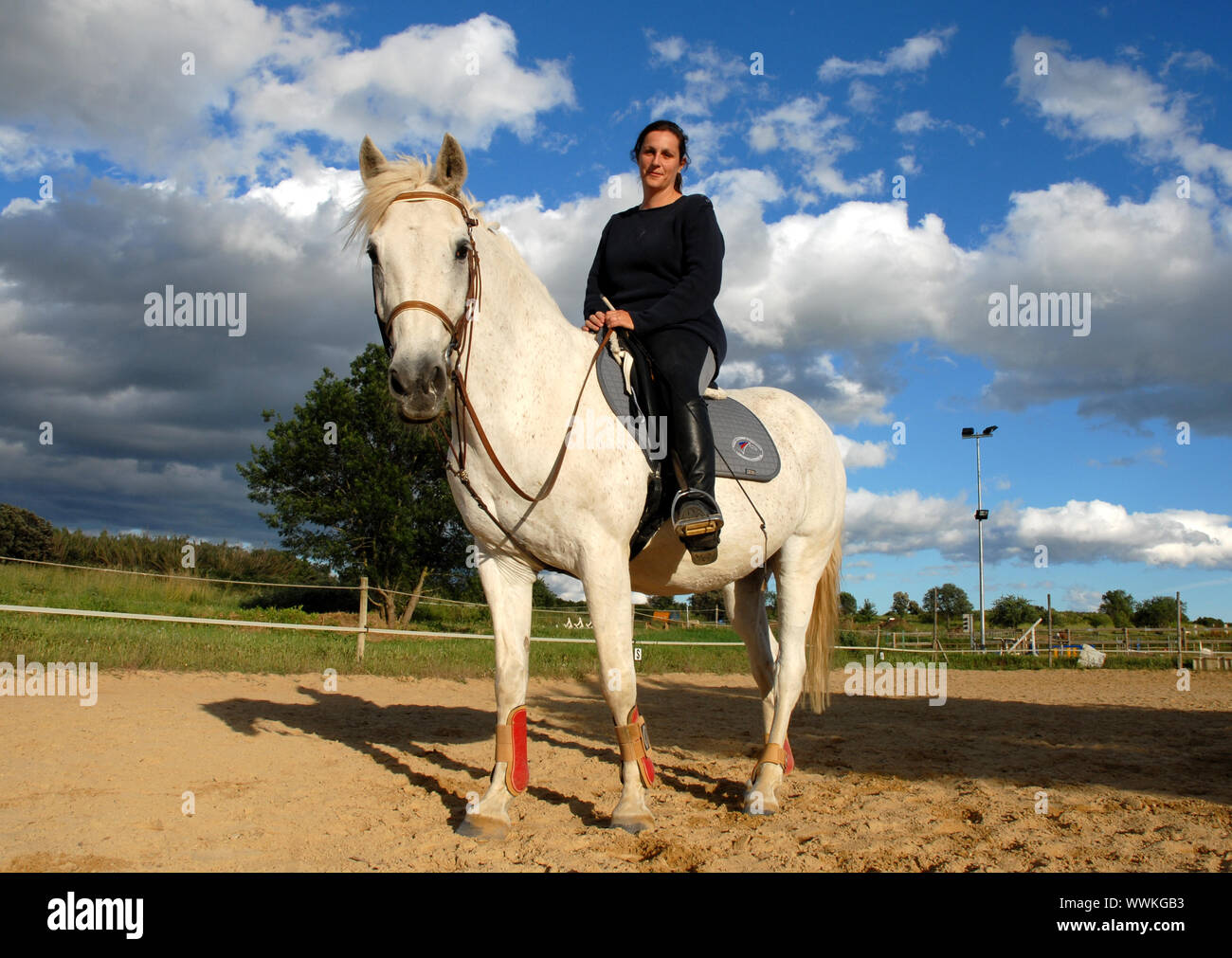training in dressage for a white horse and her riding girl Stock Photo ...