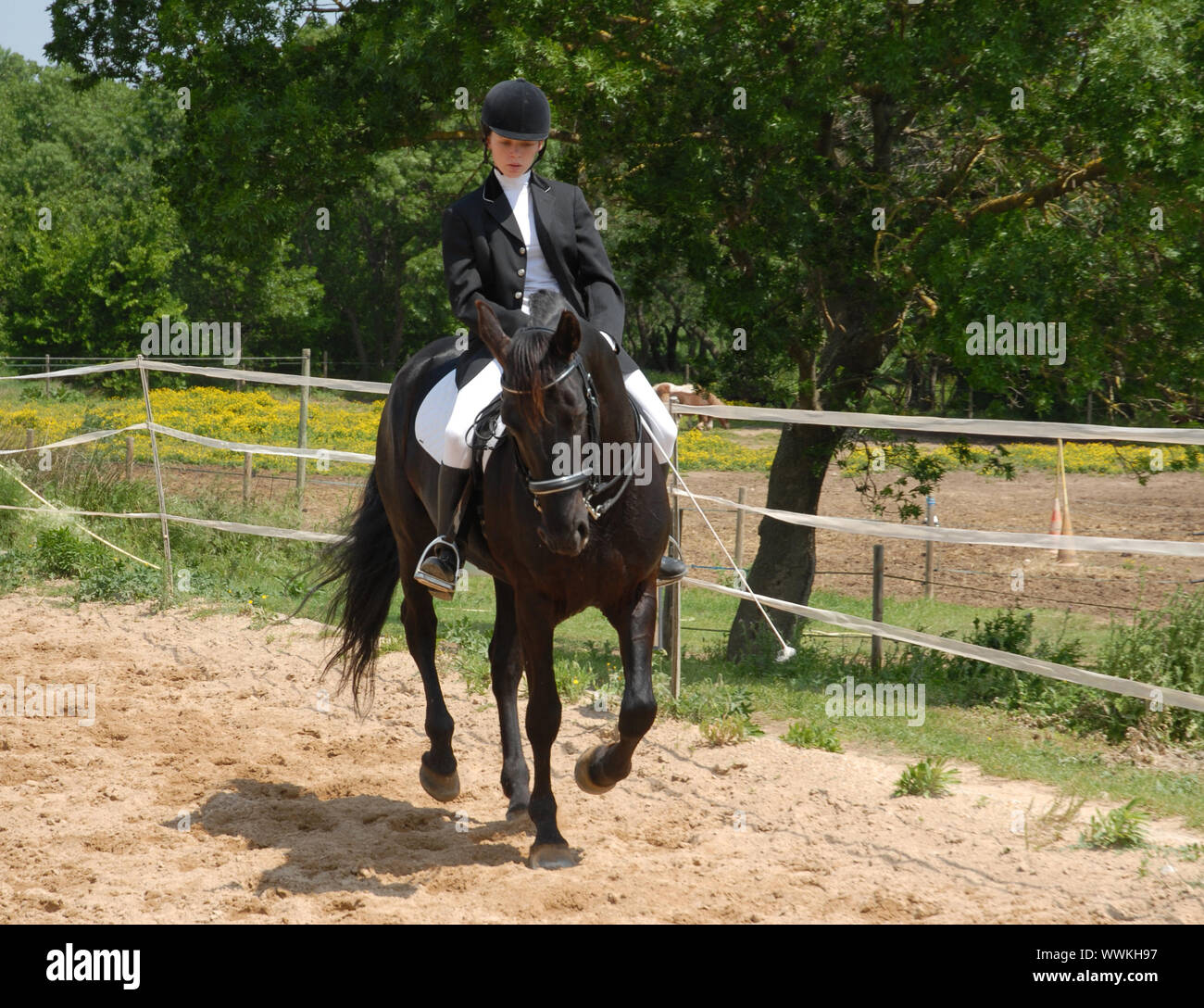 training in dressage for a black horse and her riding girl Stock Photo ...