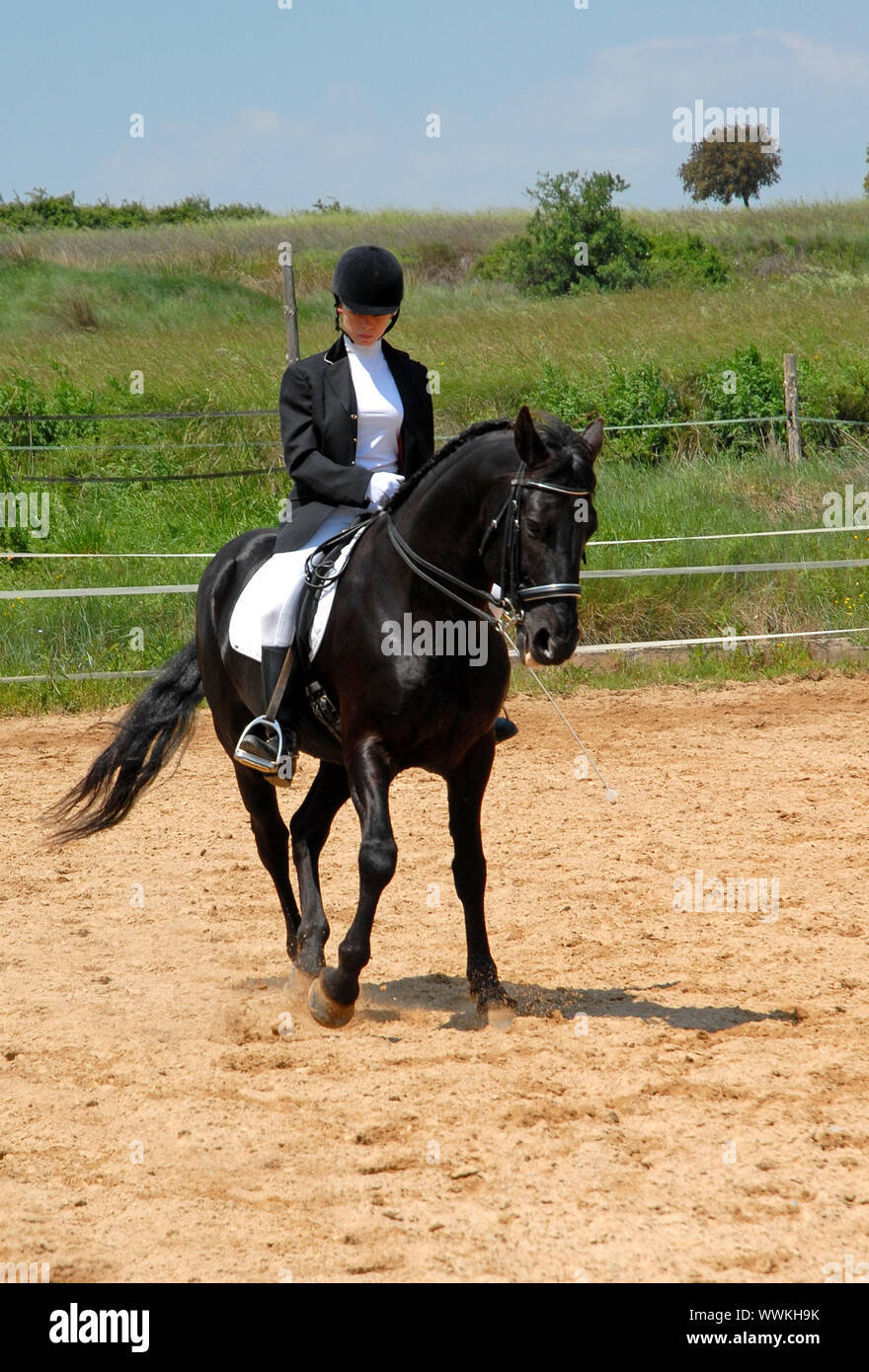 training in dressage for a black horse and her riding girl Stock Photo ...