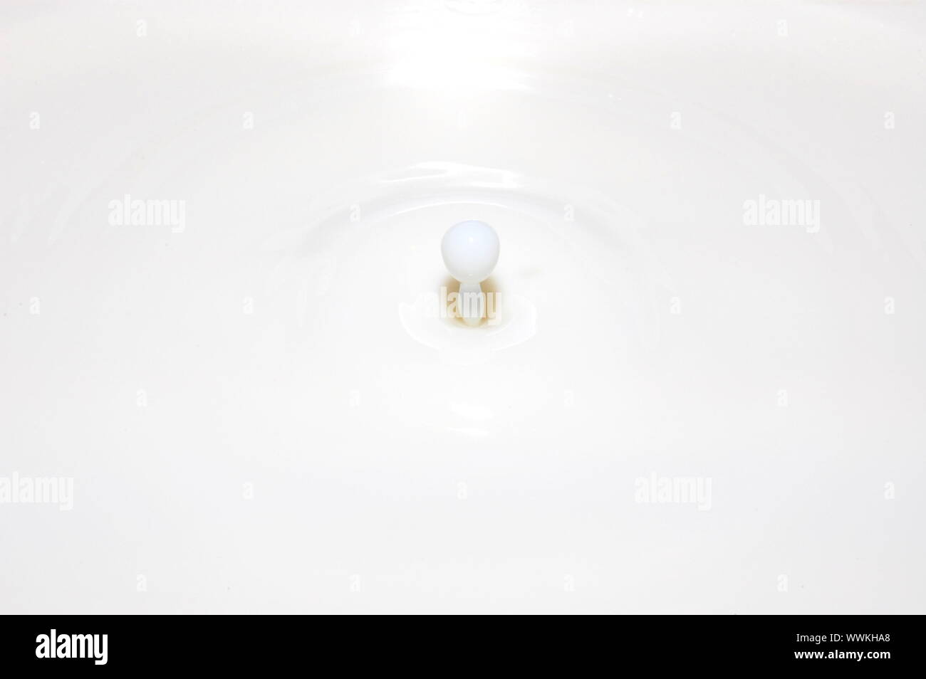 drop of milk splashes into fresh milk Stock Photo - Alamy