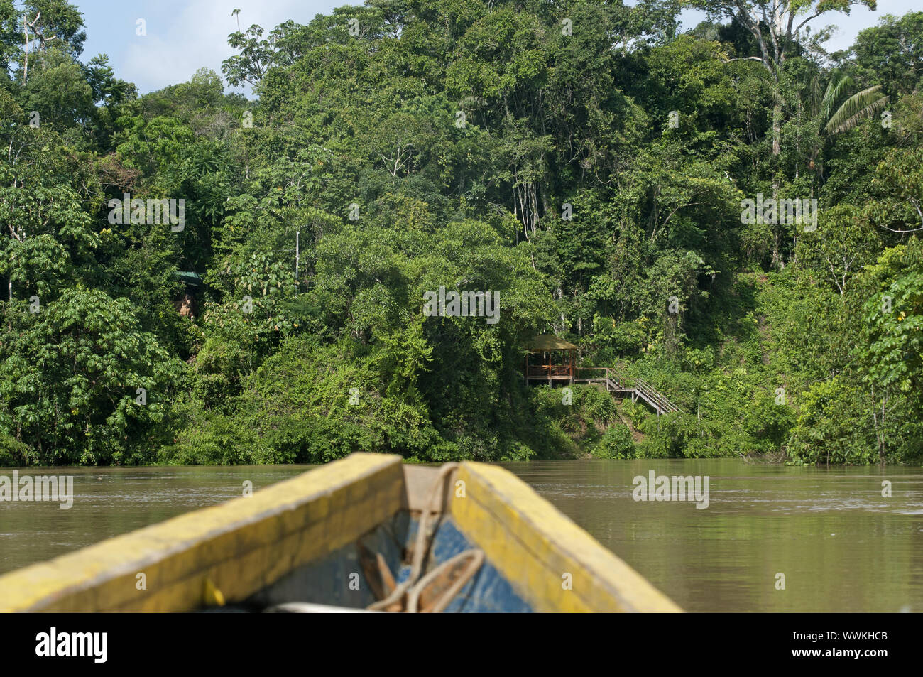 at the Tiputini River, Yasuni National Park, Ecuador Stock Photo - Alamy
