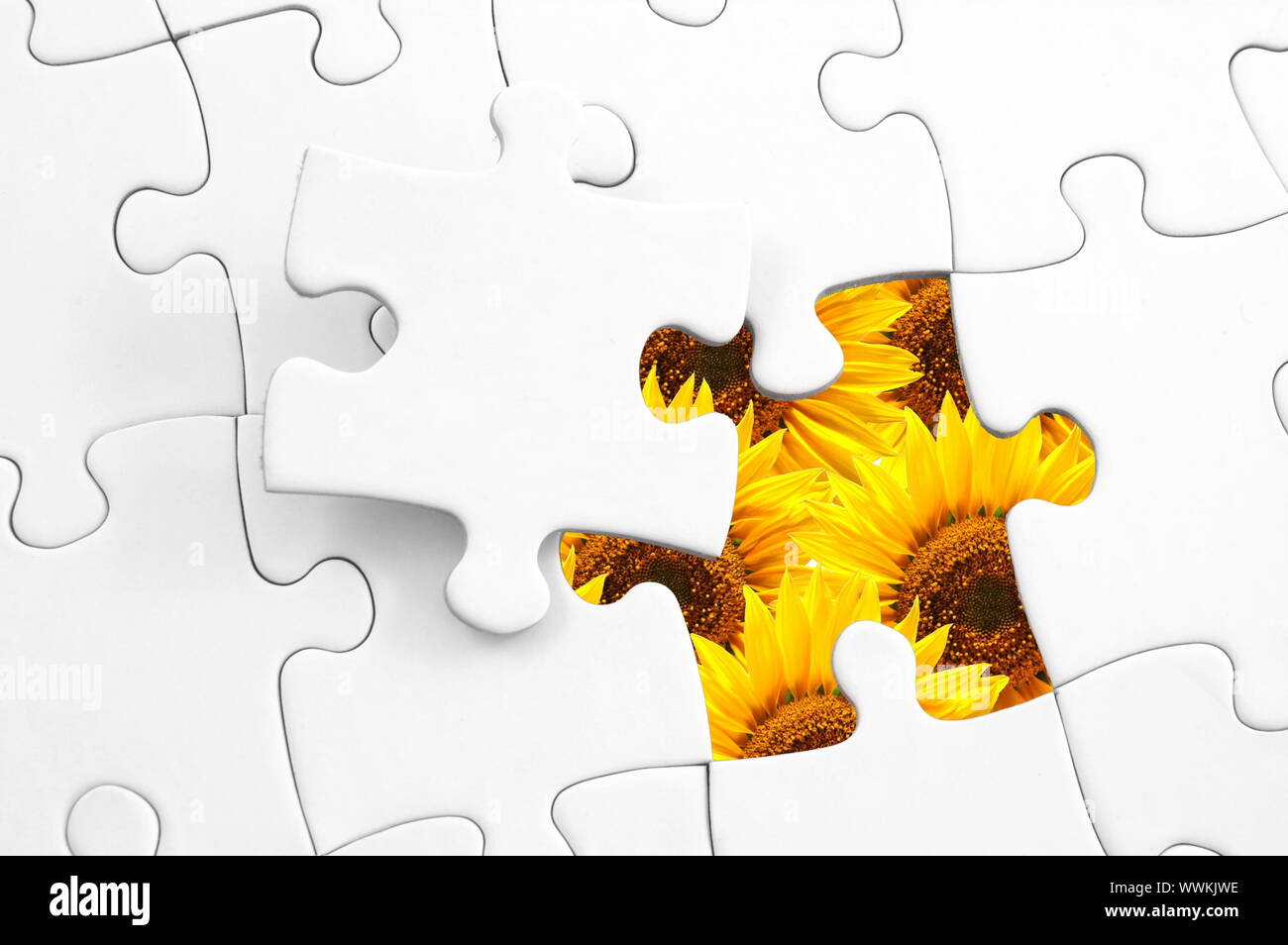puzzle and flower showing concept for fragile nature Stock Photo - Alamy