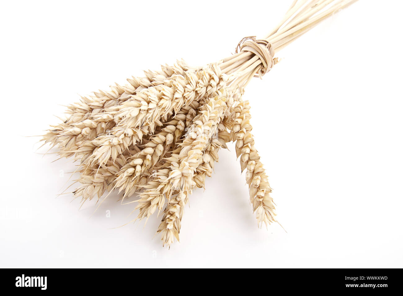 Close up isolated ripe wheat hi-res stock photography and images - Alamy
