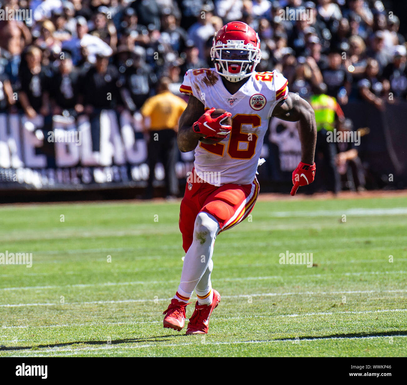 Damien williams hi-res stock photography and images - Alamy