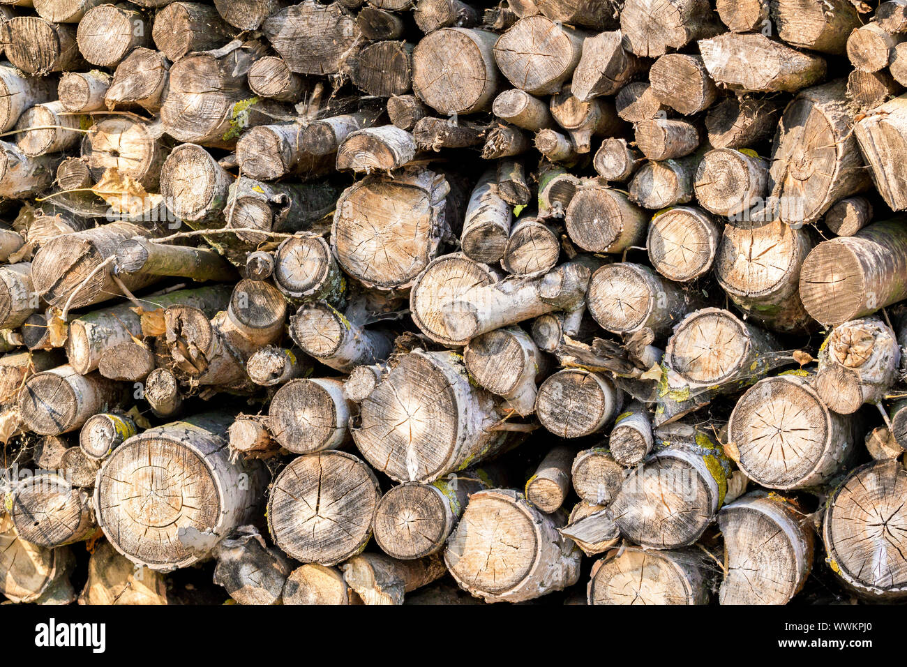 wood in pile outdoor Stock Photo - Alamy