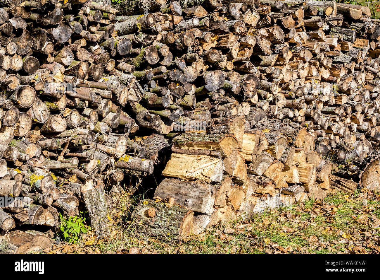 wood in pile outdoor Stock Photo - Alamy
