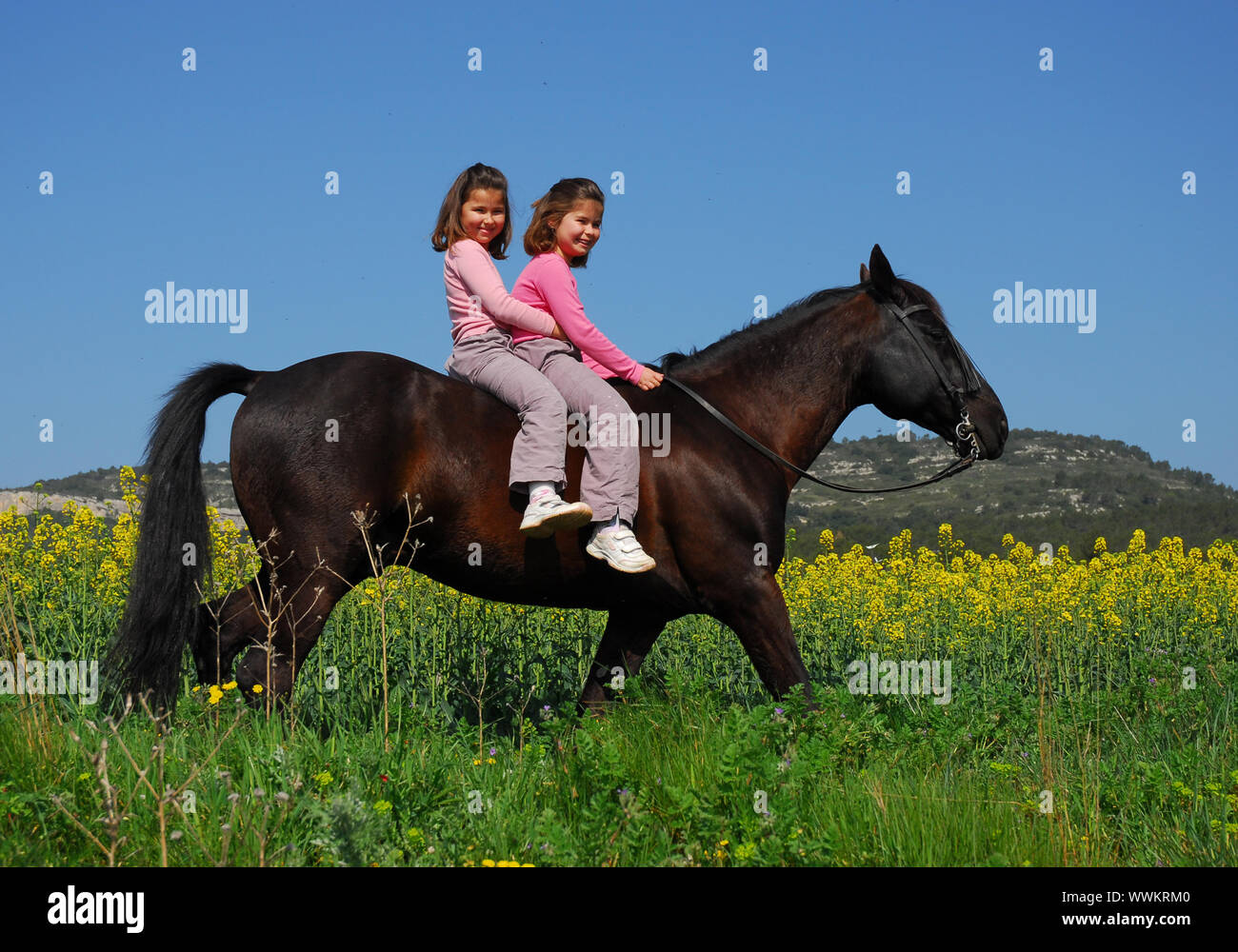 twins sisters horseback riding a black stallion Stock Photo - Alamy
