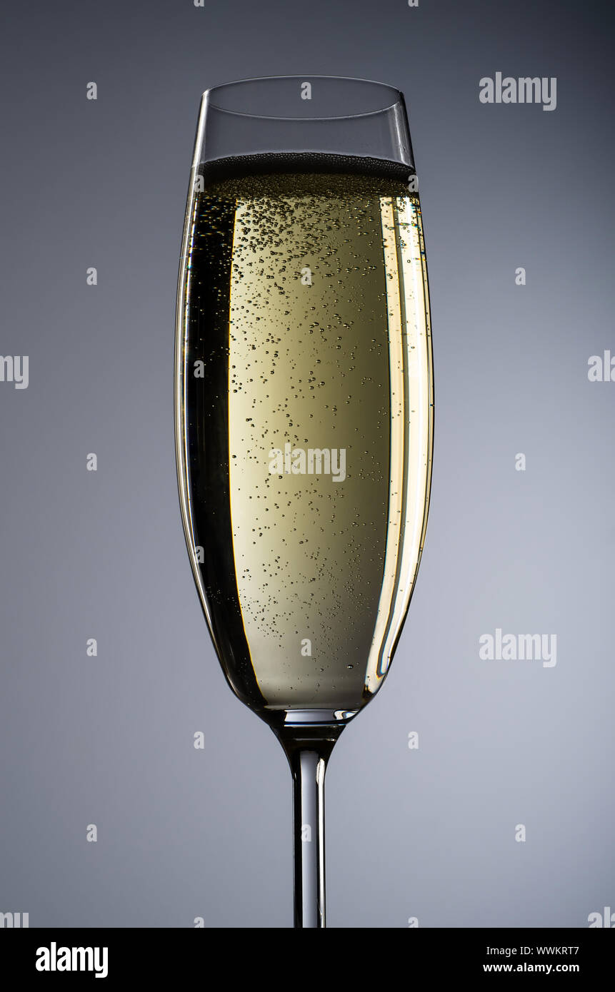 Champagne glass against a grey background Stock Photo - Alamy