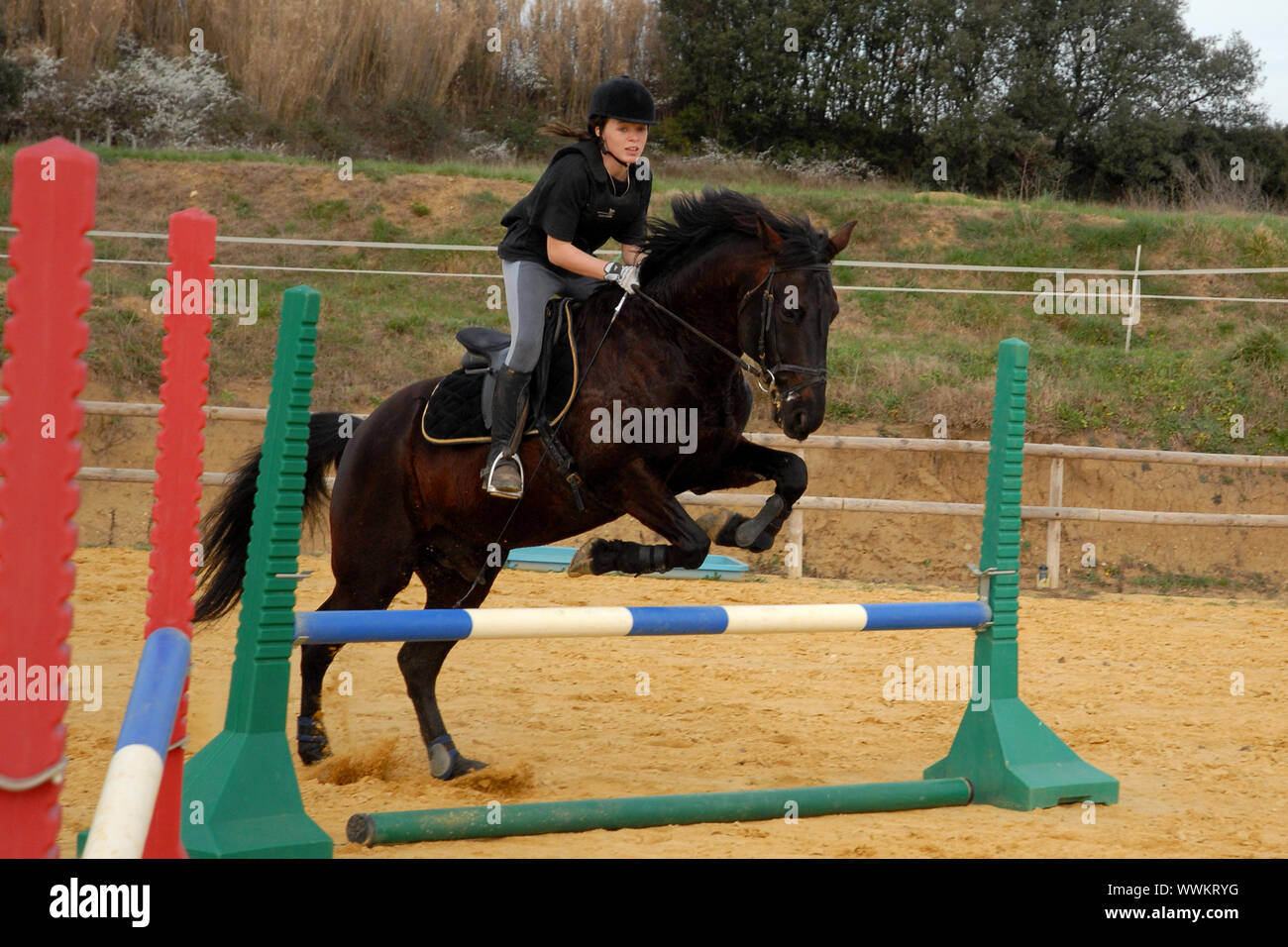 Andalusian horse jumping hi-res stock photography and images - Alamy