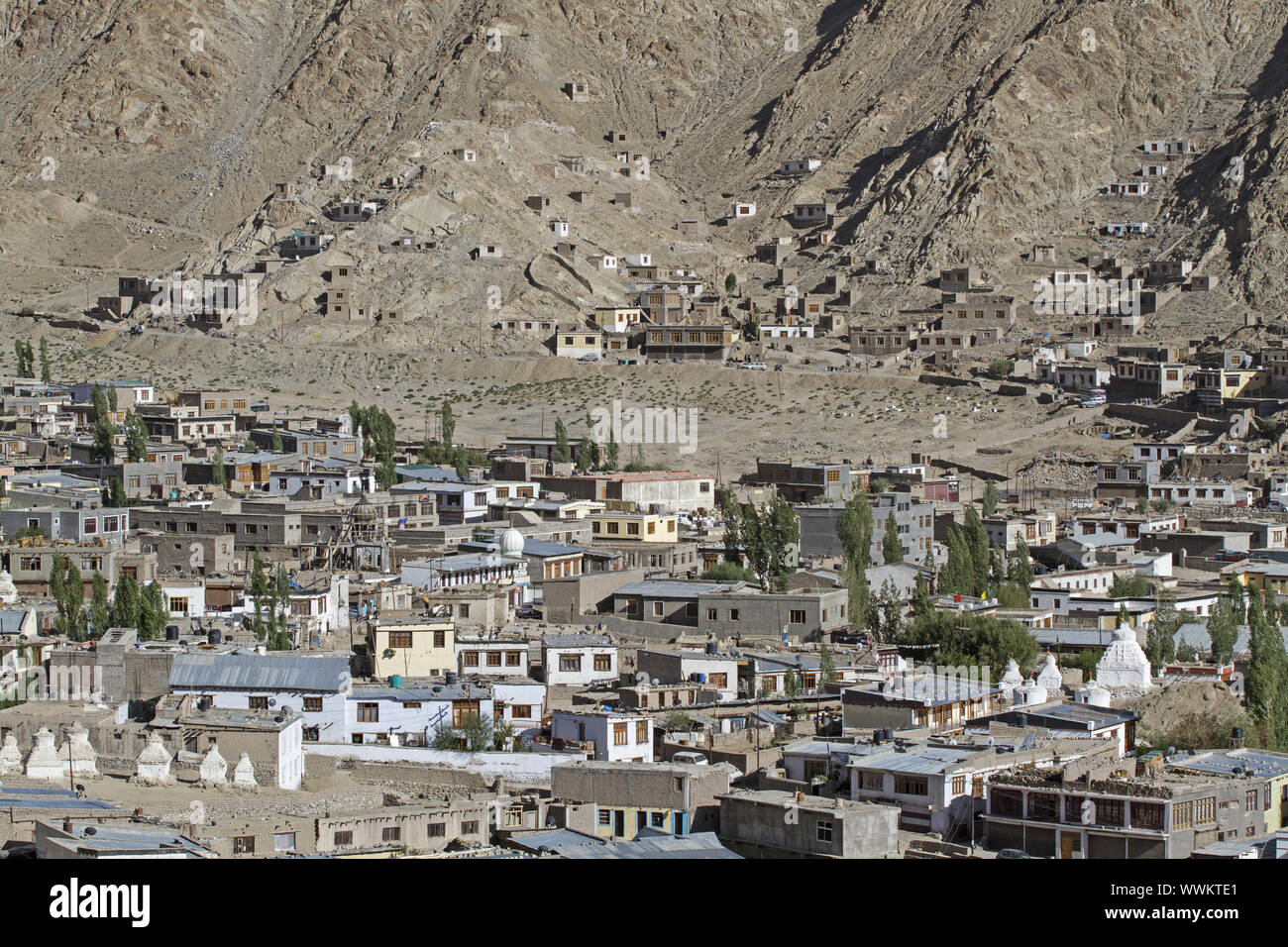 View of Leh, the capital of Ladakh, India Stock Photo - Alamy