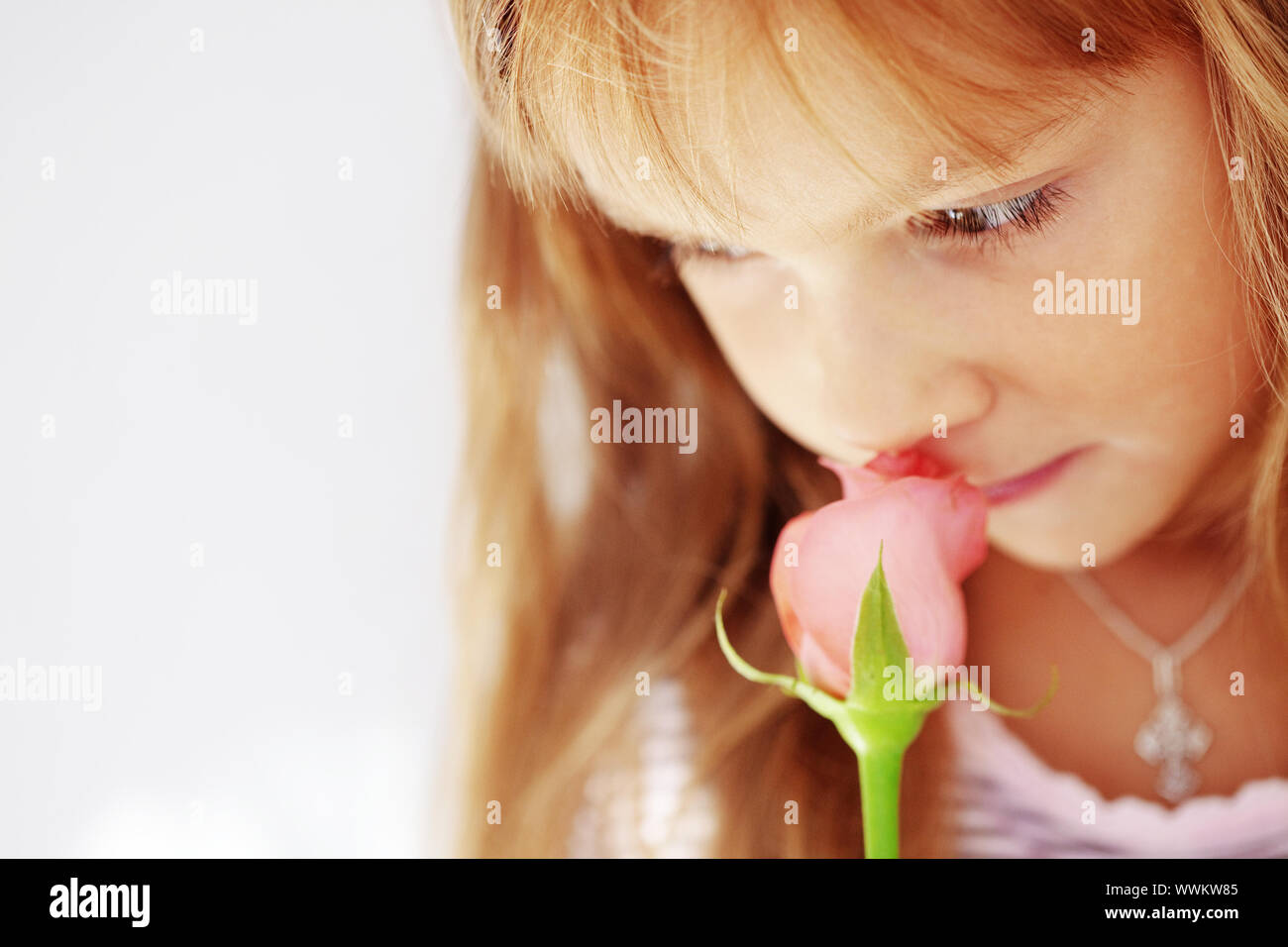 Cute little girl smelling rose Stock Photo - Alamy