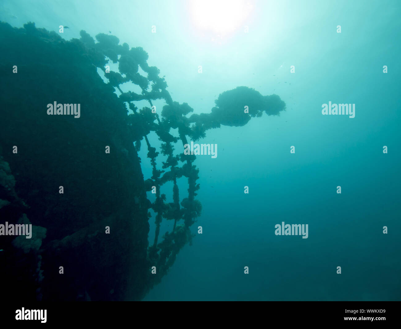 Hamada hi-res stock photography and images - Alamy