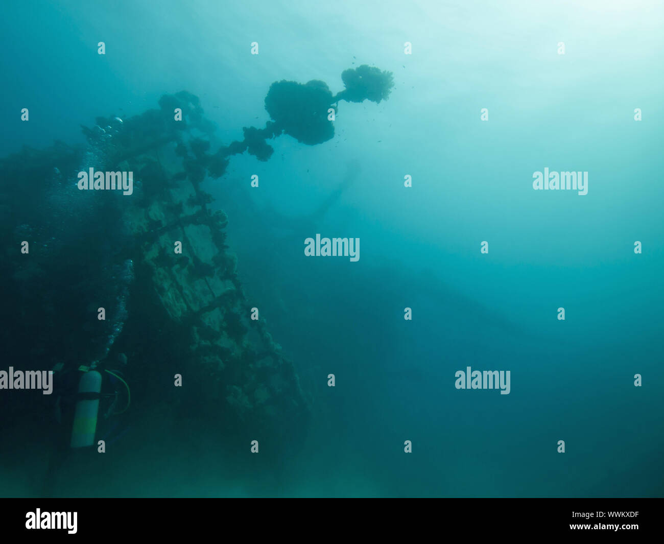 diver at the wreck Hamada Stock Photo - Alamy
