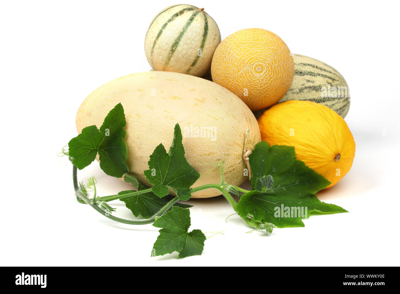 different melon isolated on white Stock Photo - Alamy