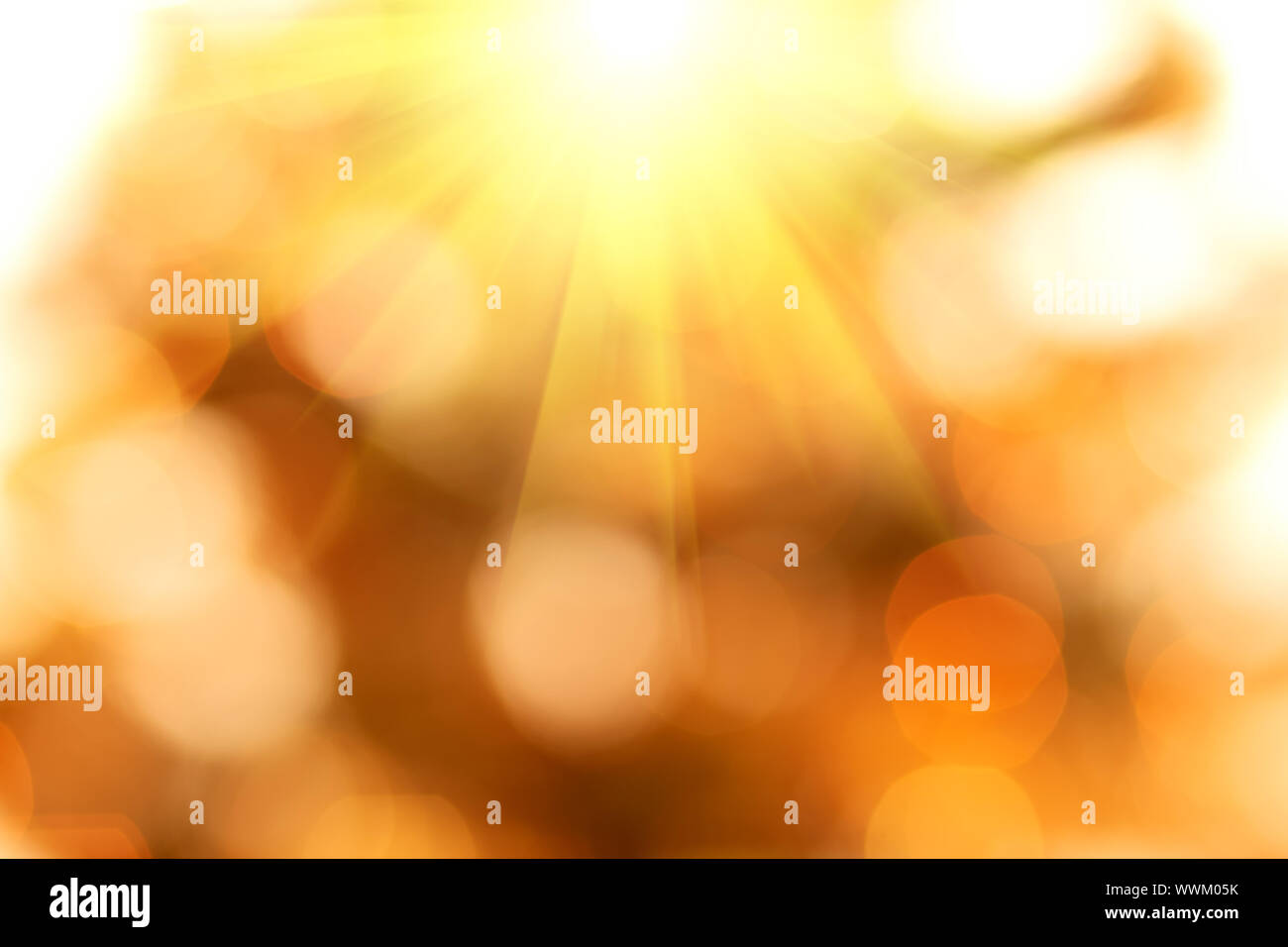natural bokeh background with sun Stock Photo - Alamy
