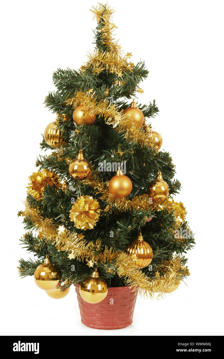 Hanging tree pot Cut Out Stock Images & Pictures - Alamy