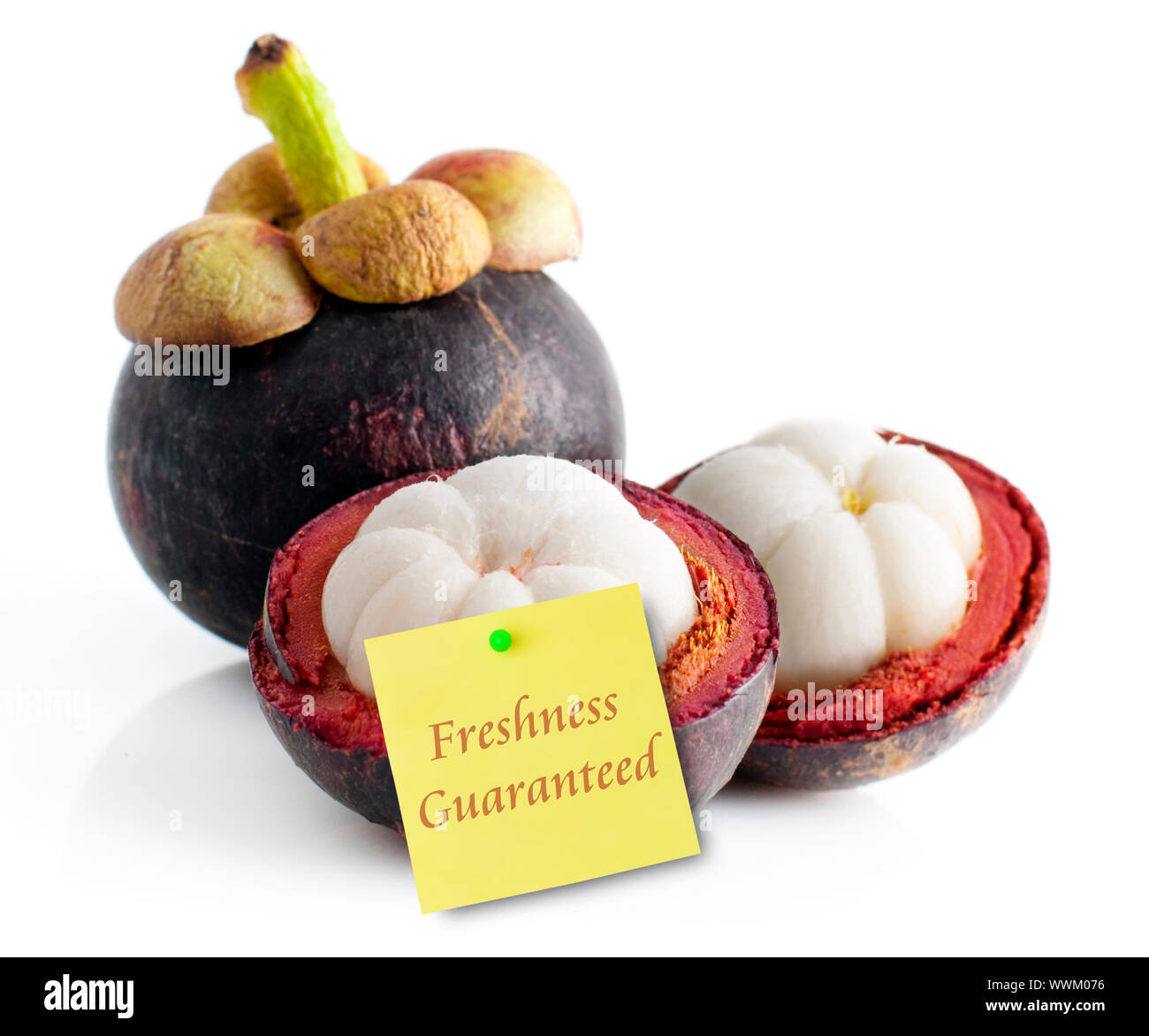 Cross Section Mangosteen