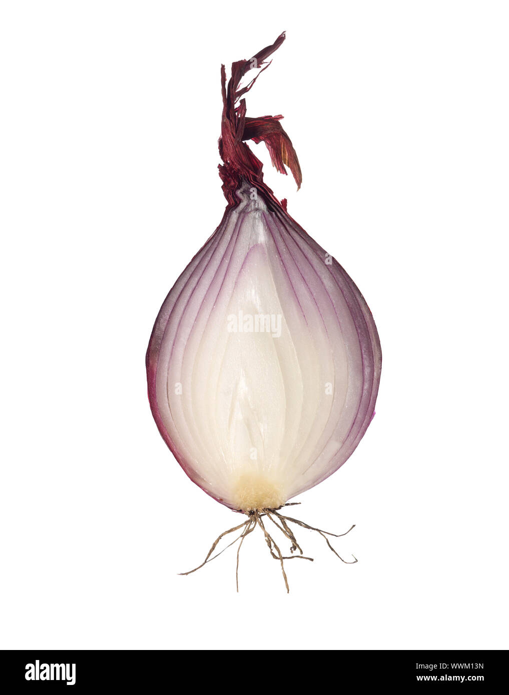 Red Onion cut in half Stock Photo - Alamy