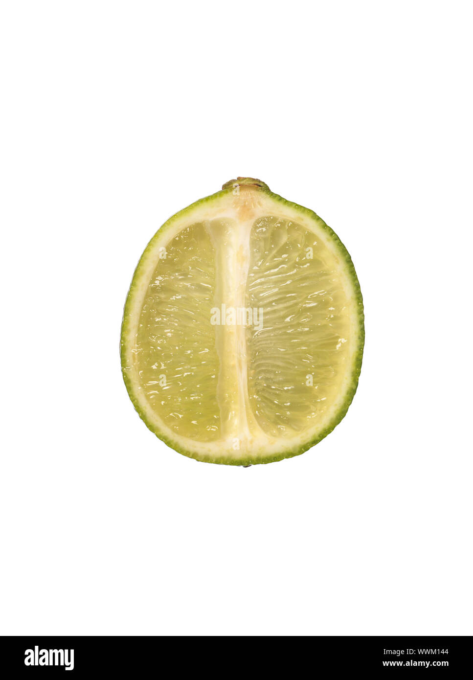 Lemon cut in half isolated on white background Stock Photo - Alamy