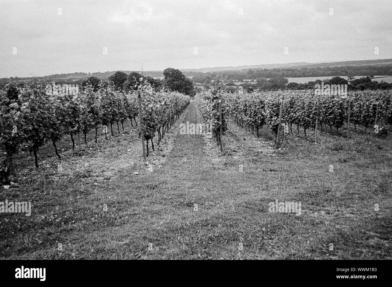 British noir Black and White Stock Photos & Images - Alamy