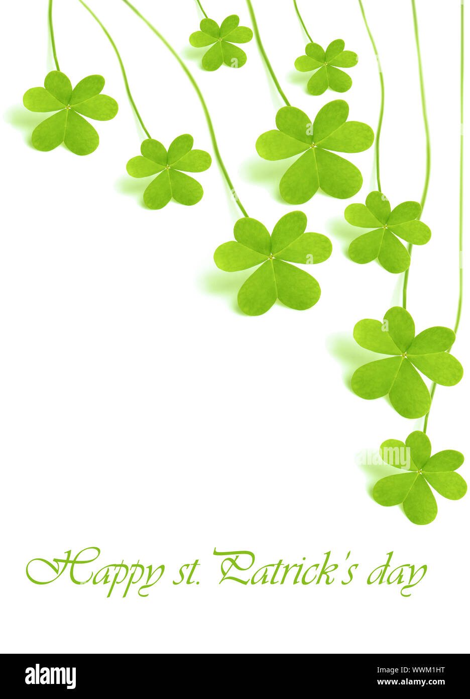 Green fresh clover Stock Photo - Alamy