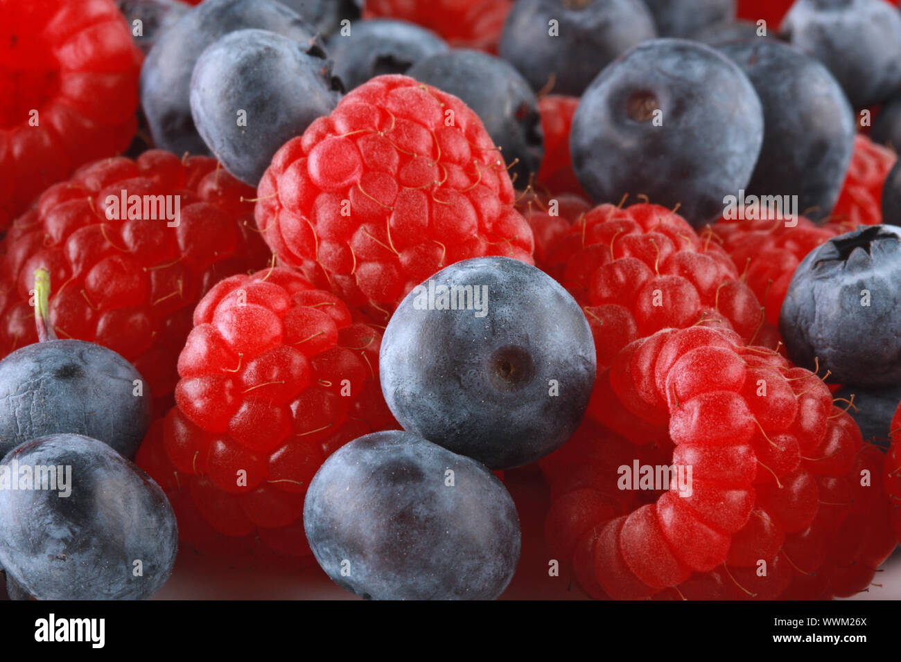 Blueberries and raspberry cocktail, shot in studio, great freshness ...