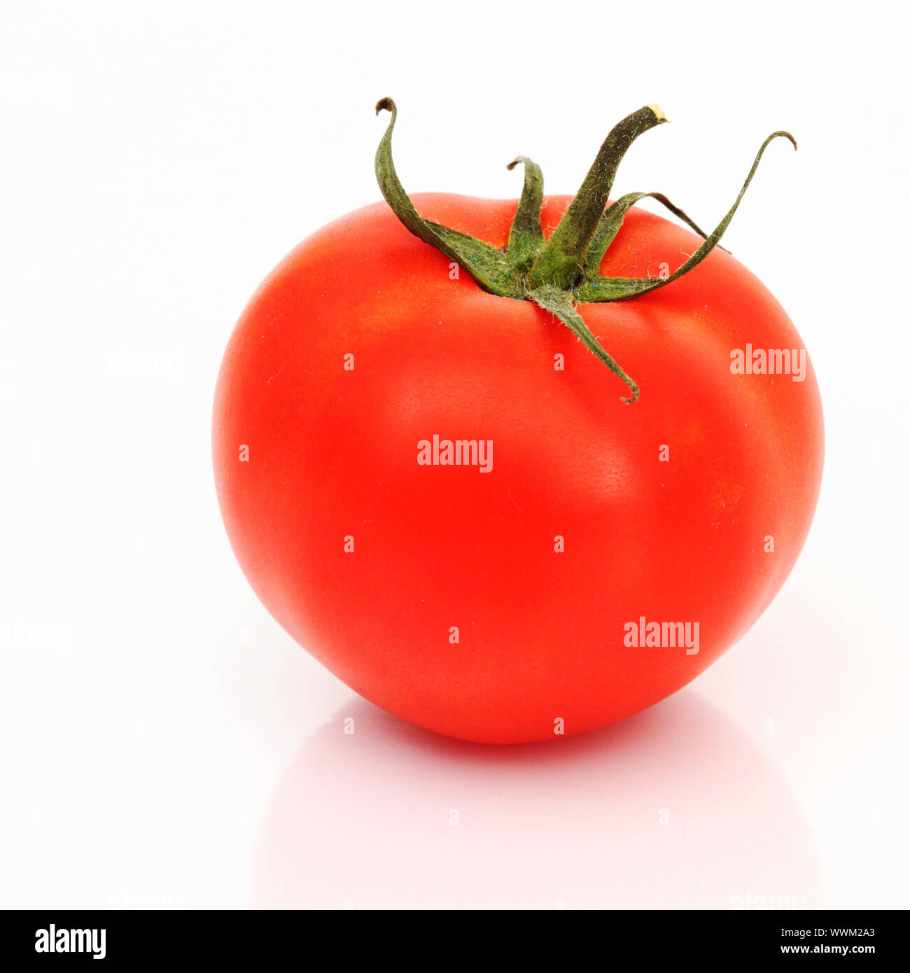 one tomato isolated on white Stock Photo - Alamy