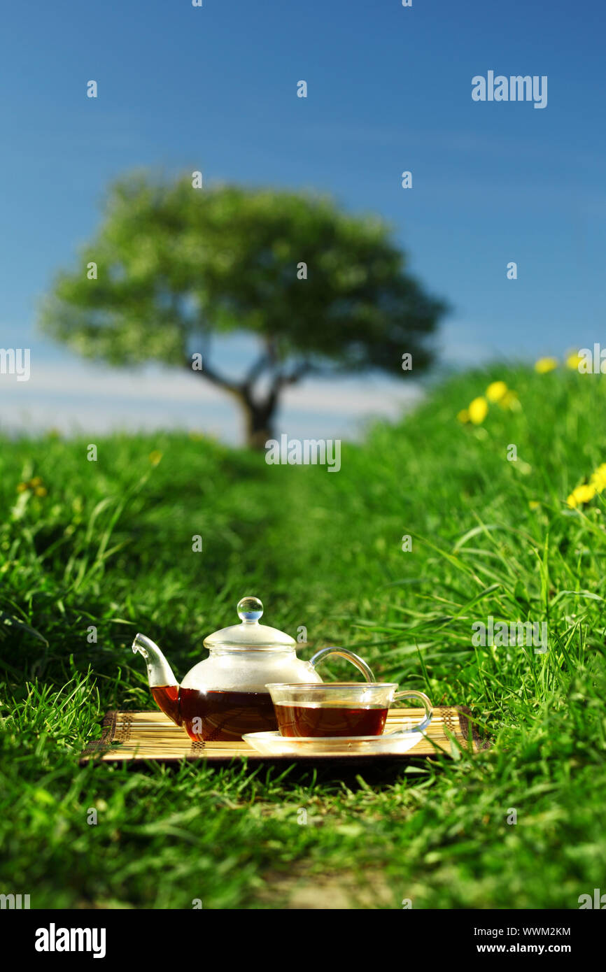 Natural tea in the pot Stock Photo - Alamy