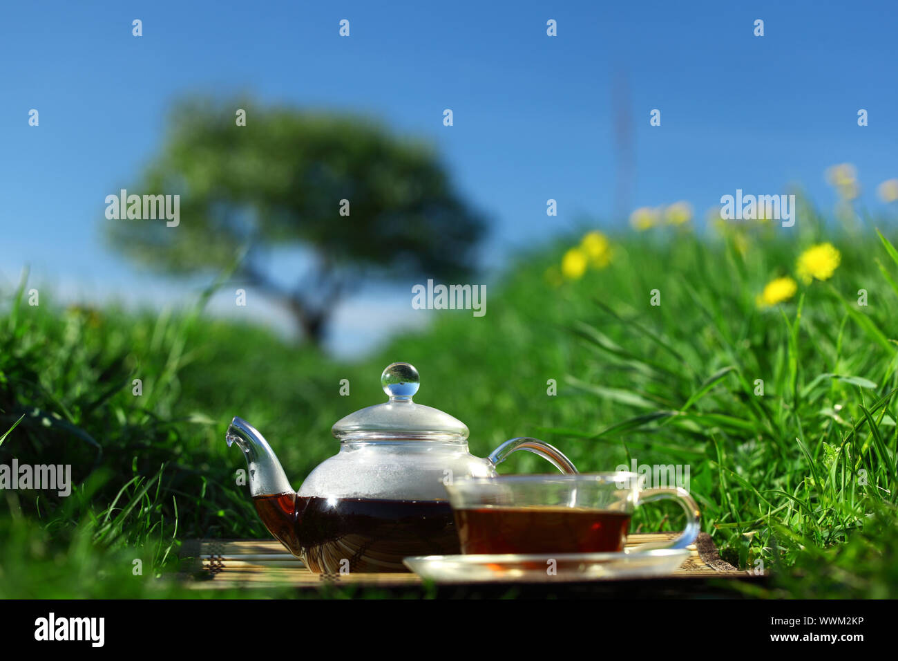 Big blue teapot hi-res stock photography and images - Alamy