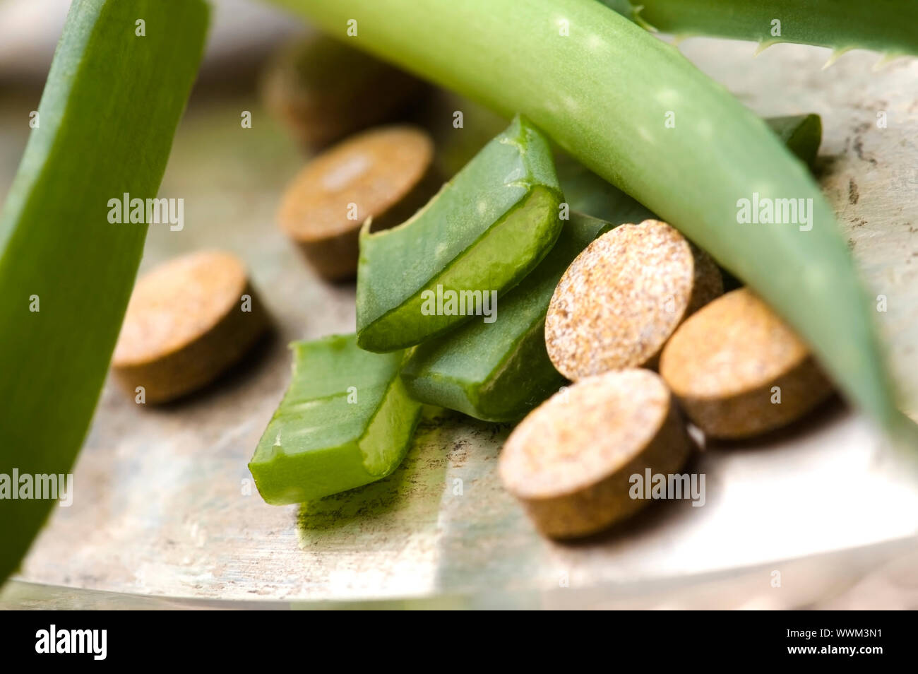 aloe vera plant with pills - herbal medicine Stock Photo - Alamy