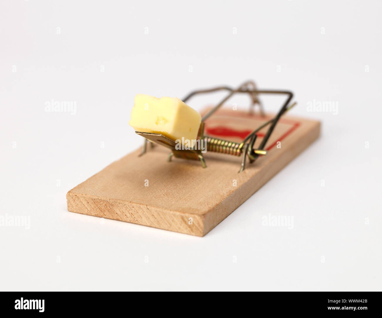 Mouse Trap with cheese on white background Stock Photo - Alamy