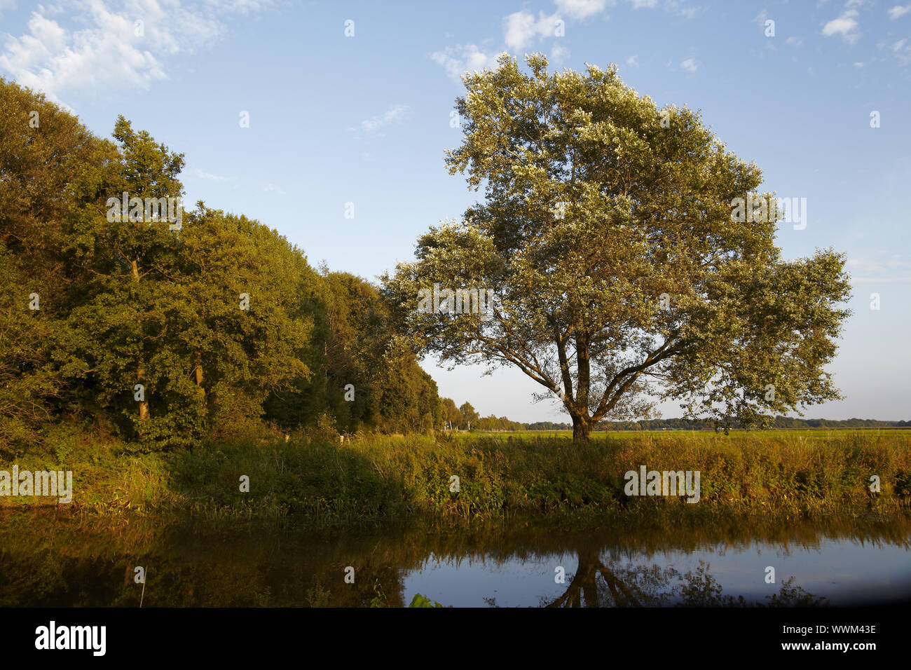 Teufelsmoor hi-res stock photography and images - Alamy