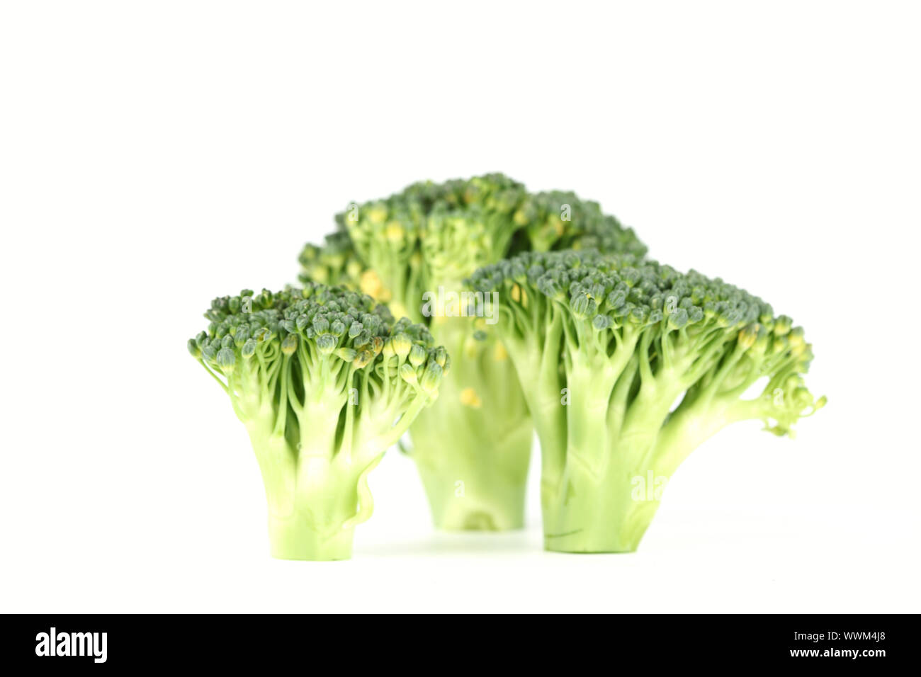 broccoli isolated on white background Stock Photo - Alamy