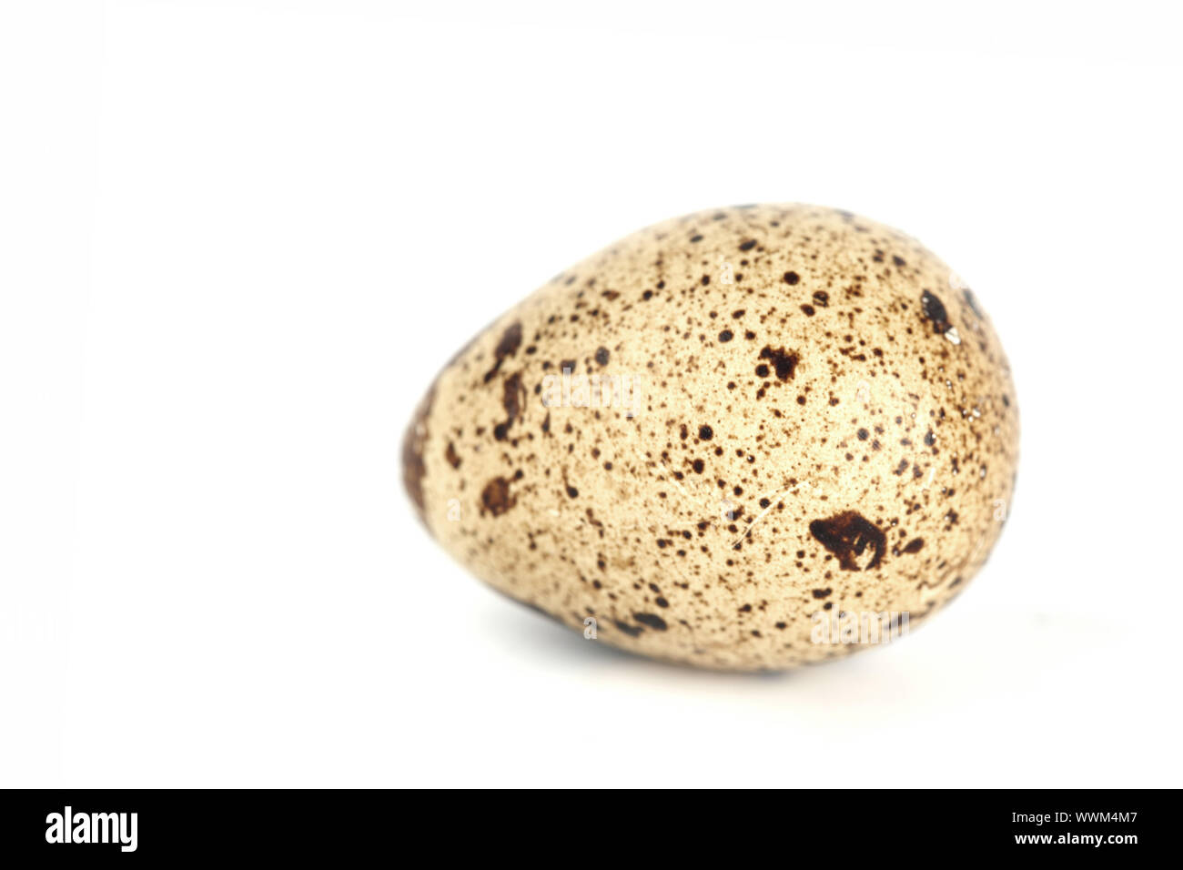 quail egg background isolated macro close up Stock Photo - Alamy