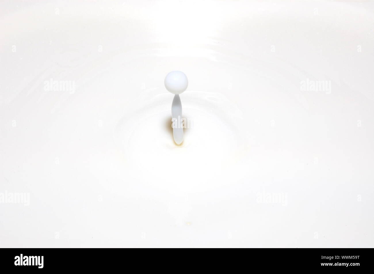 drop of milk splashes into fresh milk Stock Photo - Alamy