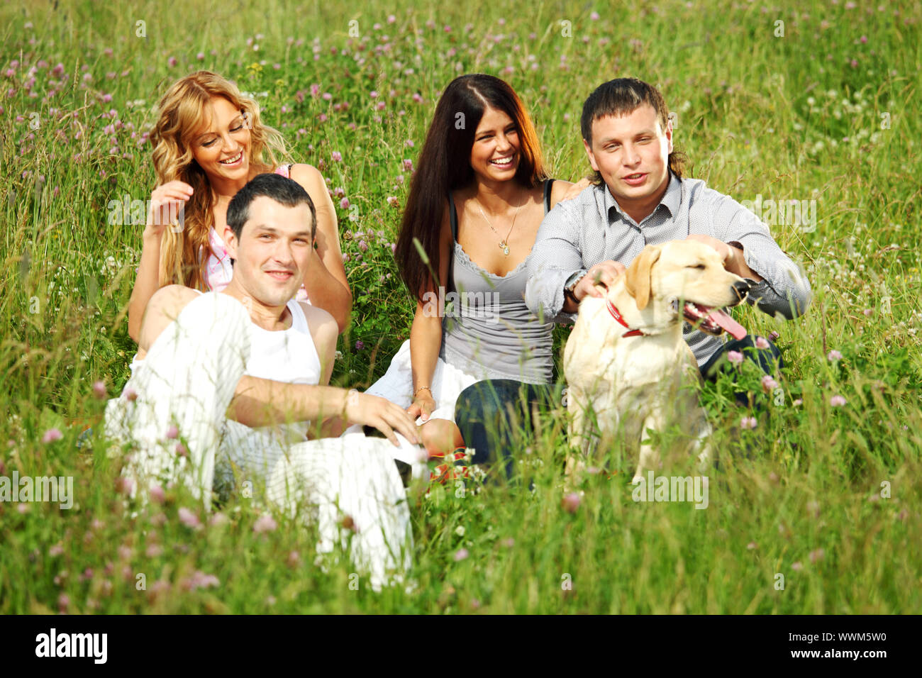 friends and dog in green grass field Stock Photo - Alamy